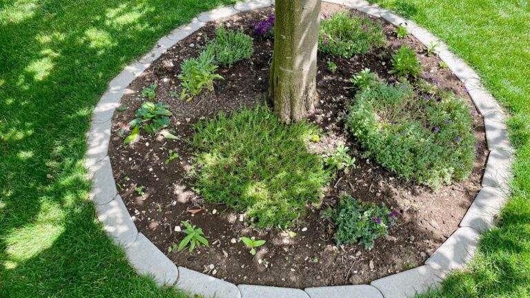 The Complete Beginner's Guide to Growing Herbs Organically