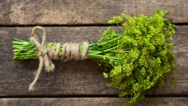 Should You Let Your Dill Flower?