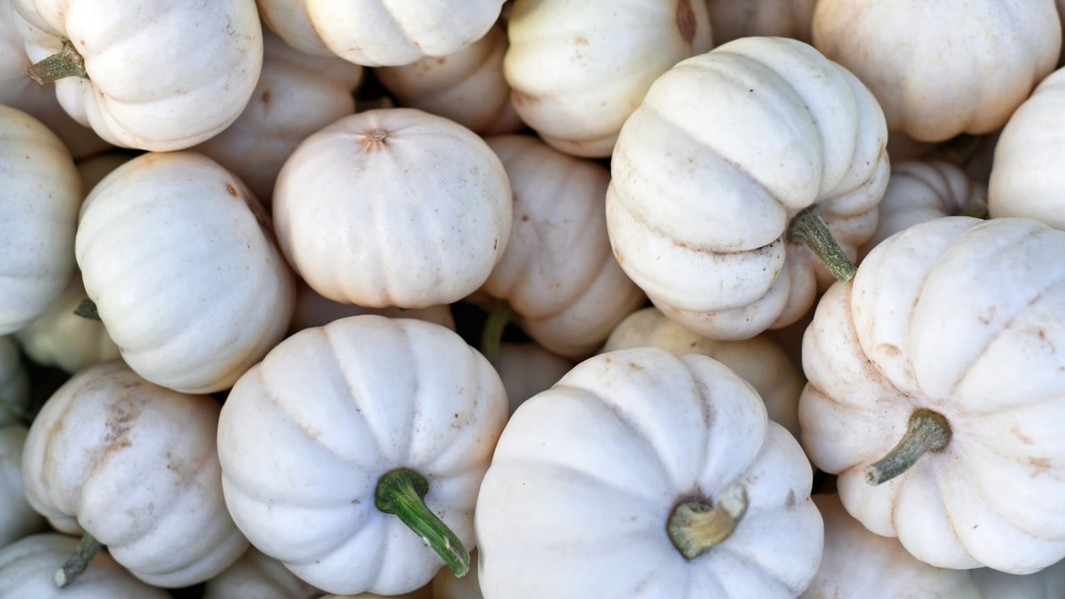 9 Mini-Pumpkin Varieties You Should Plant Now for Fall
