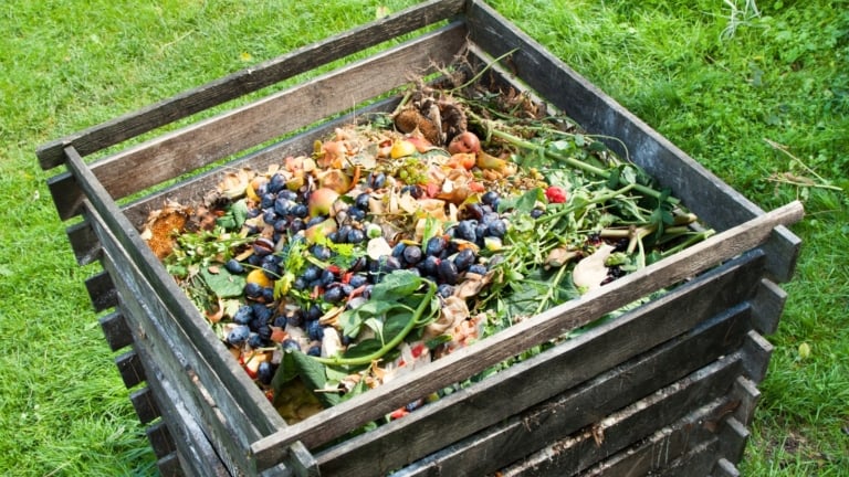 How to Tell If Your Compost is Ready To Use: 5 Expert Tips