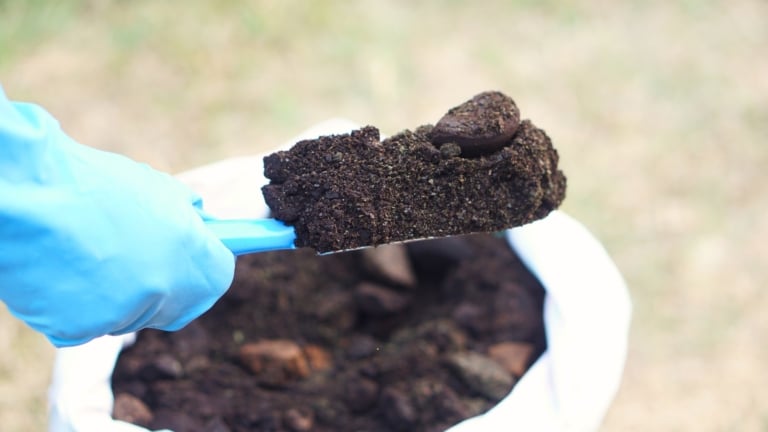 7 Alternatives to Use in Place of Perlite in Soil