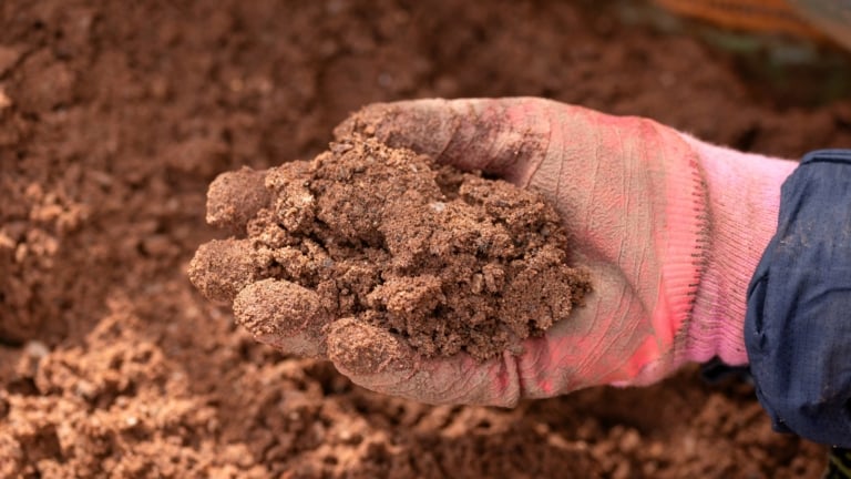 7 Alternatives to Use in Place of Perlite in Soil