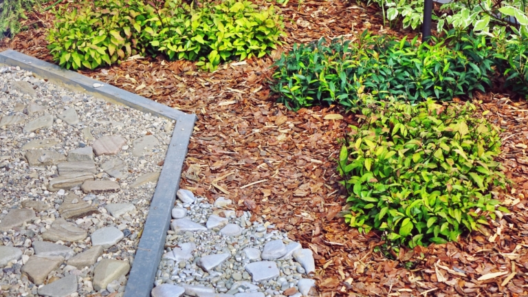 11 Simple Ways to Upgrade Your Backyard Landscaping
