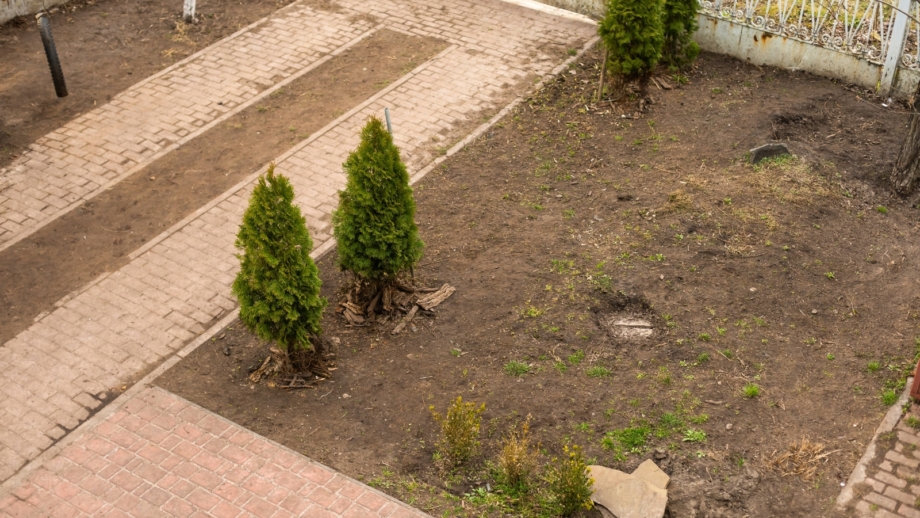 31 Major Landscape Design Mistakes You Might Be Making