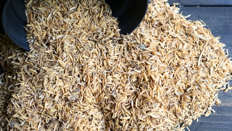 7 Alternatives to Use in Place of Perlite in Soil