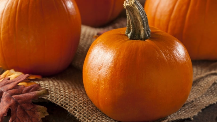 9 Mini-Pumpkin Varieties You Should Plant Now for Fall