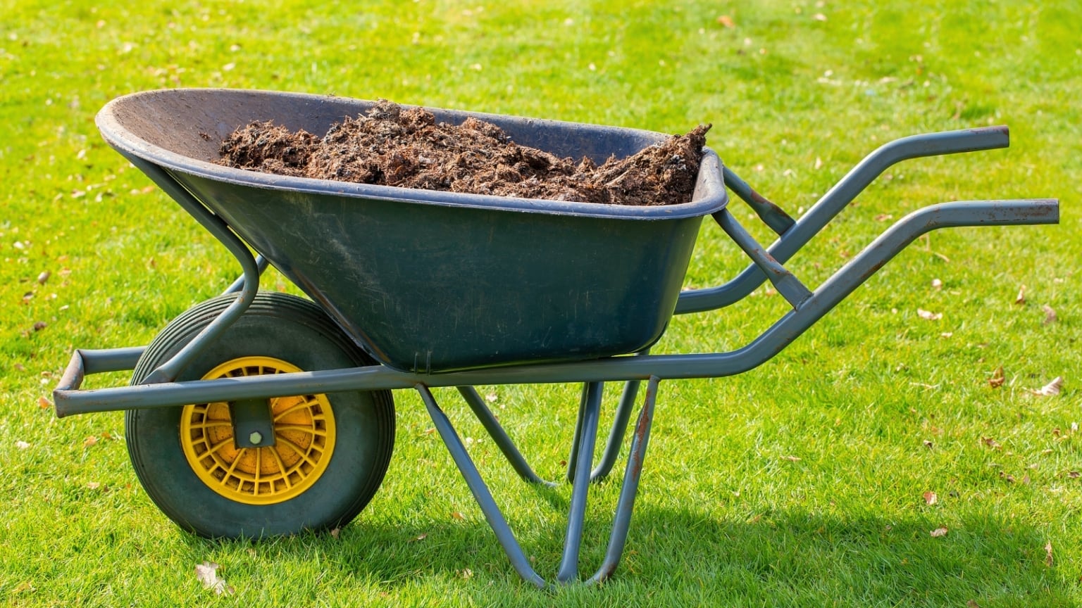 The Best Way to Use Cow Manure in the Garden