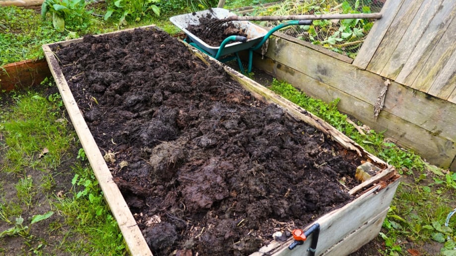 What Type of Manure is Best for the Garden?