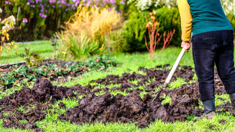 Compost for Grass: How to Use Compost On Your Lawn