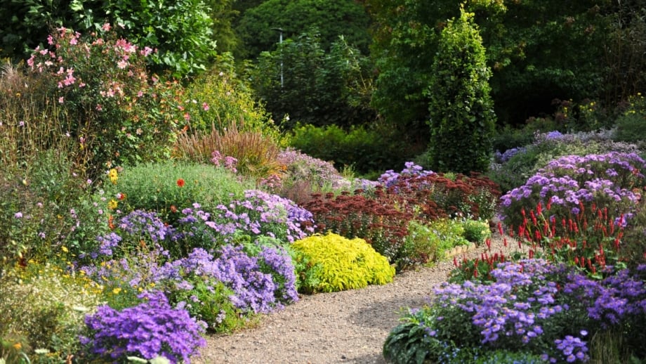 31 Major Landscape Design Mistakes You Might Be Making