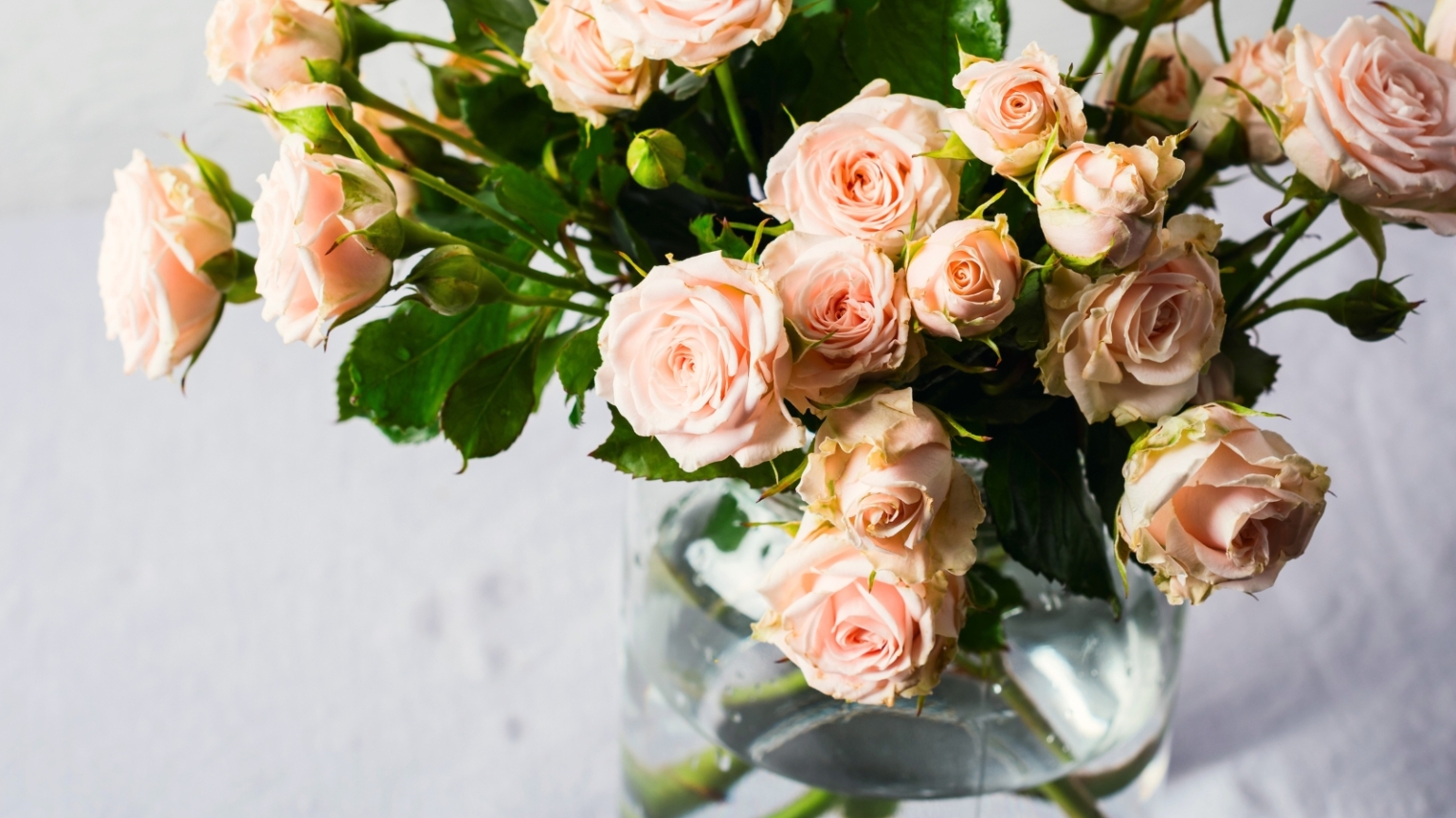 7 Pro Tips to Make Your Cut Roses Last