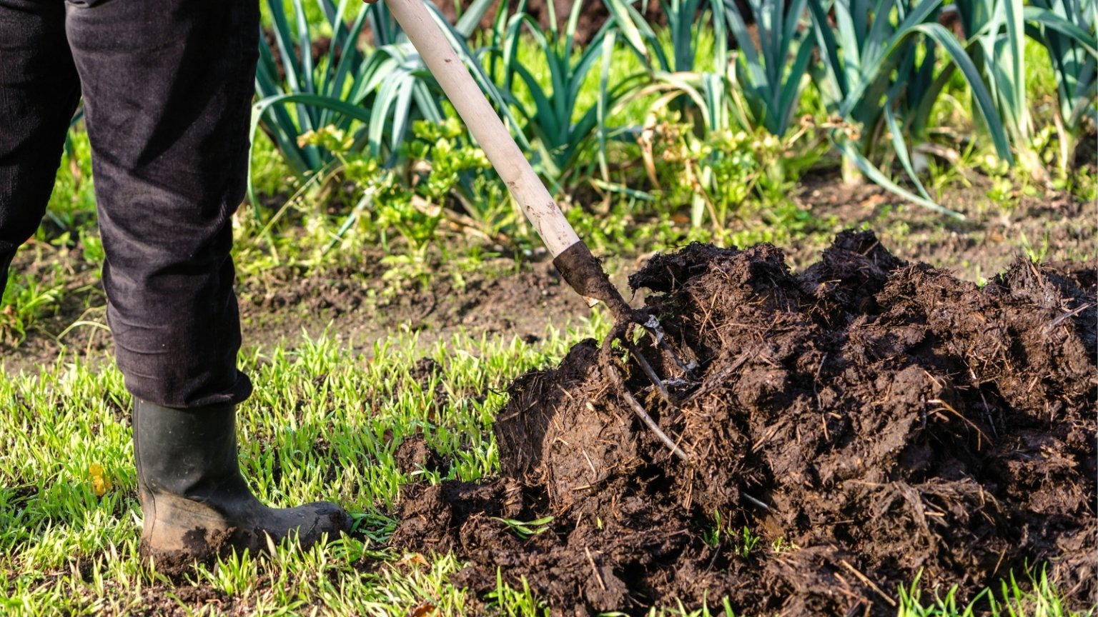 What Type of Manure is Best for the Garden?