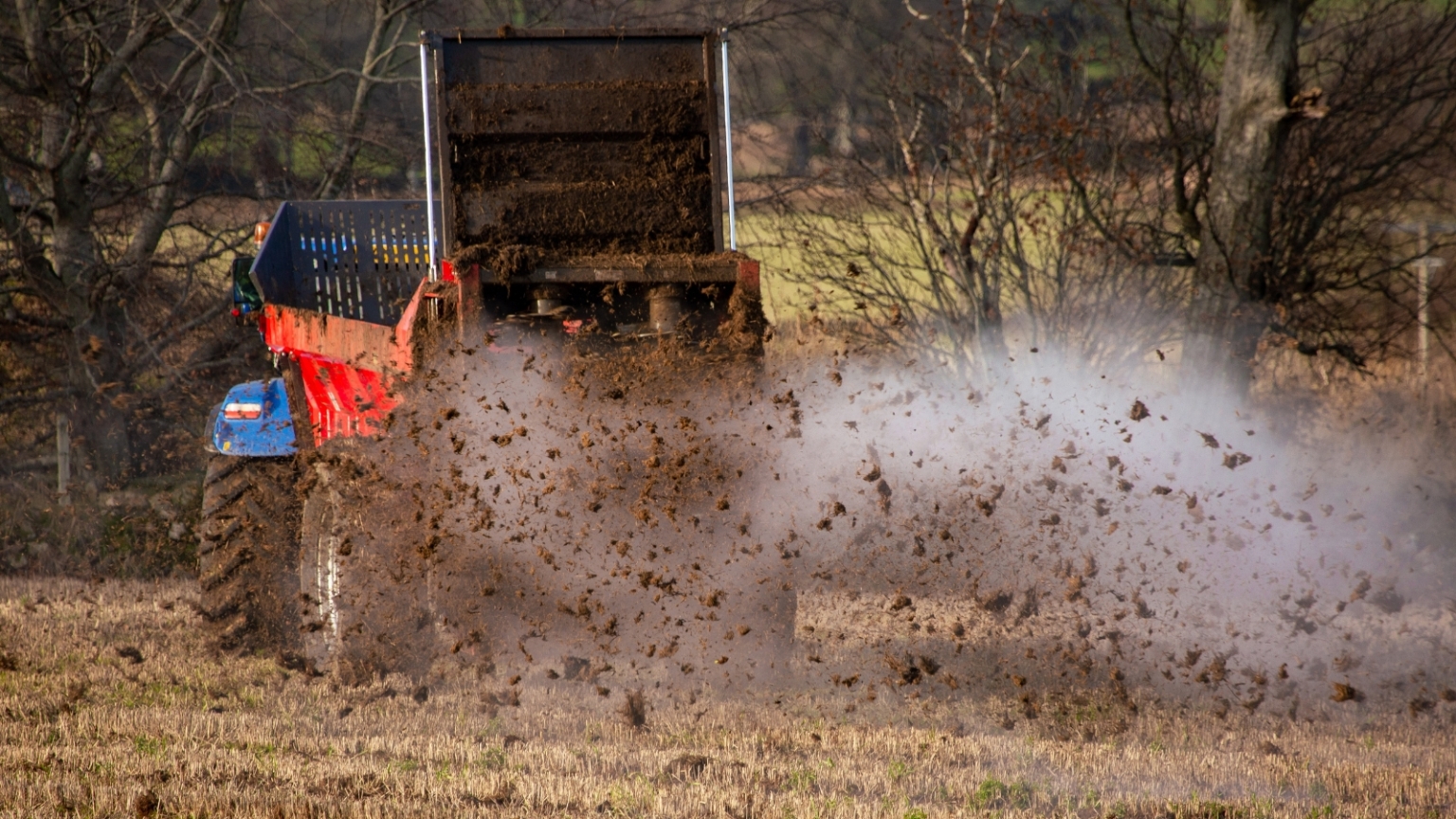 Compost for Grass: How to Use Compost On Your Lawn