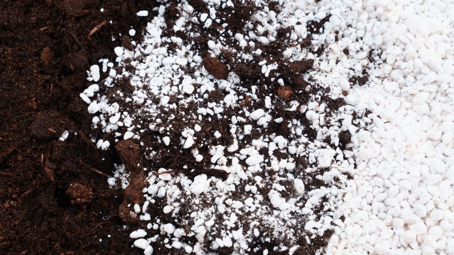 7 Alternatives to Use in Place of Perlite in Soil