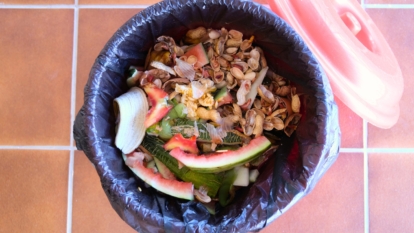 7 Creative Ways to Use Pistachio Shells in the Garden