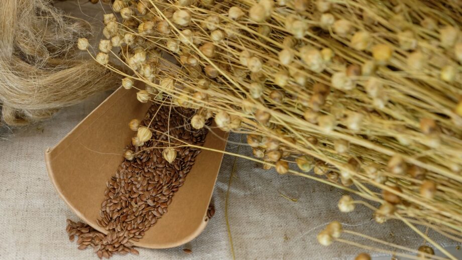 How and When to Harvest Flaxseed