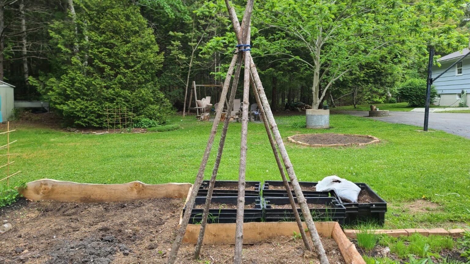 How to Grow Zucchini Plants on a Trellis: 5 Vertical Growing Tips