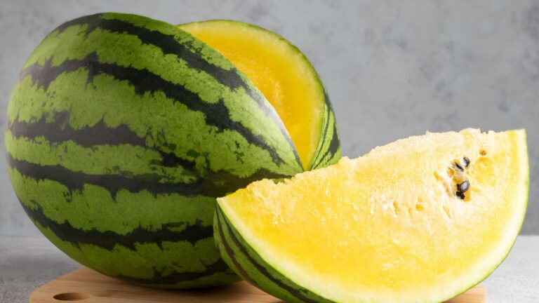 10 Mini Watermelon Varieties For Small Spaces