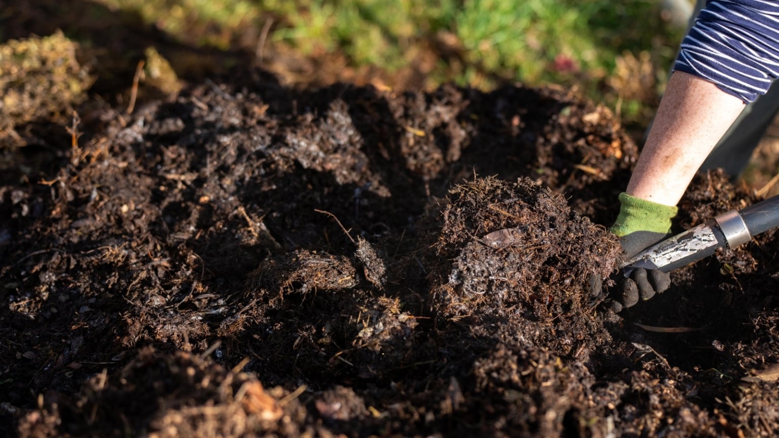 Composting Solutions for Small Spaces: 7 Expert Tips