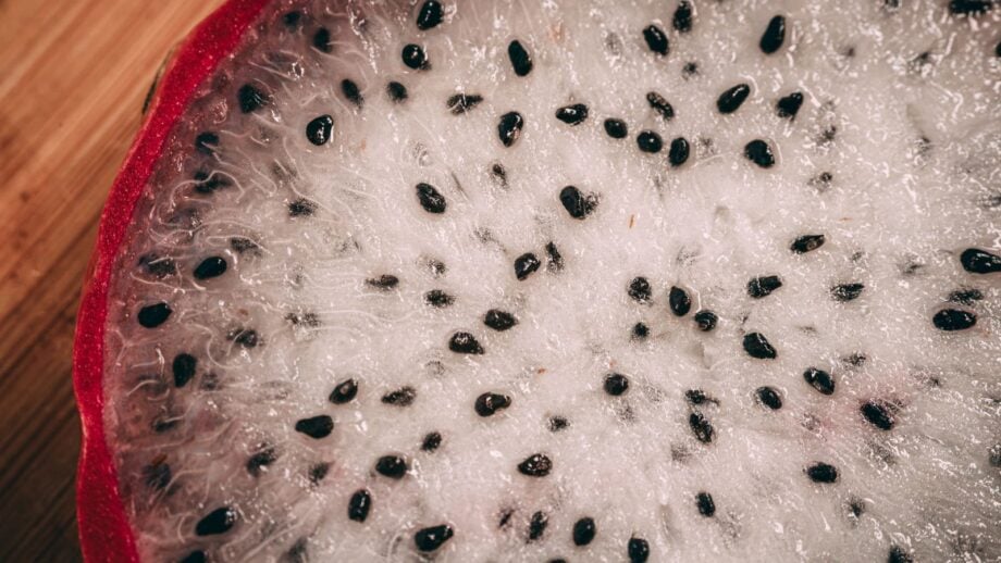 How to Grow Dragon Fruit From Seed: A Beginner Guide