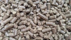 Wool Pellets: Organic Fertilizer That Transforms Your Garden
