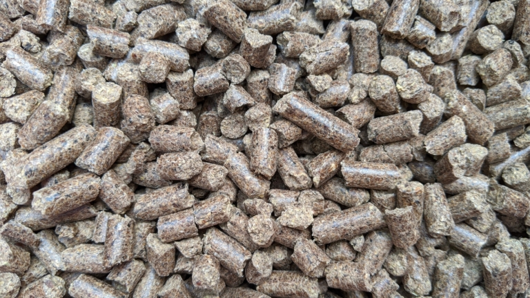 Wool Pellets: Organic Fertilizer That Transforms Your Garden