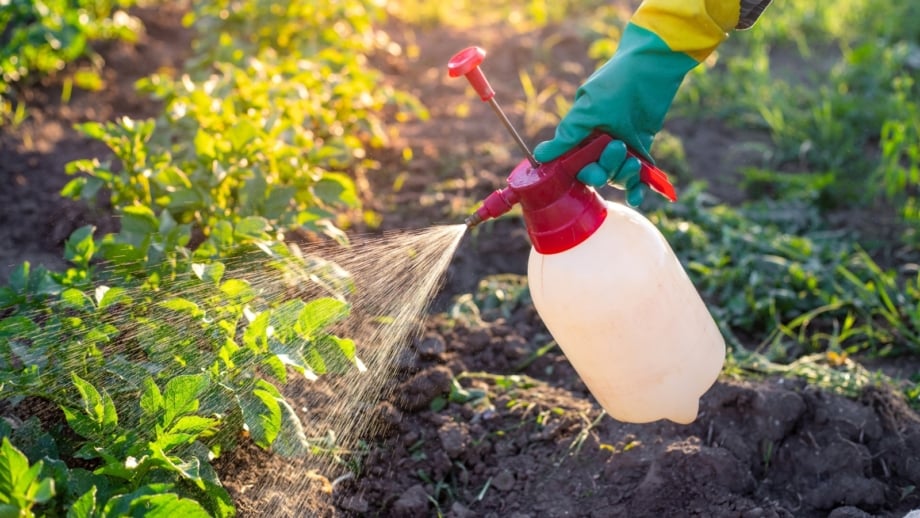11 Ways to Improve Your Soil Quality, Fast