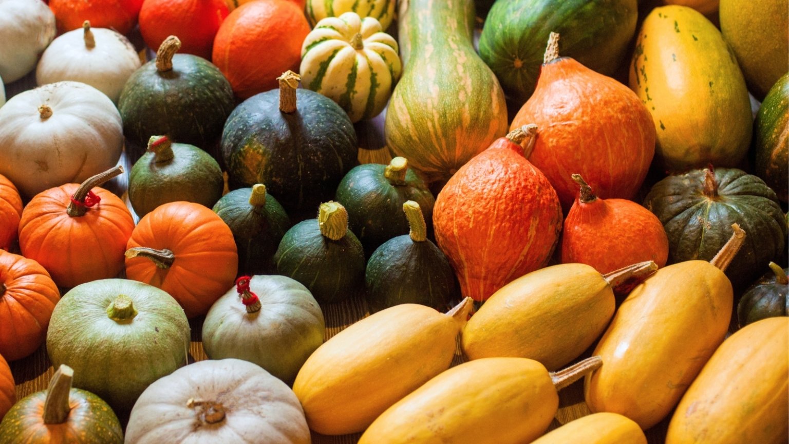 13 Varieties of Heirloom Squash You Should Grow This Year