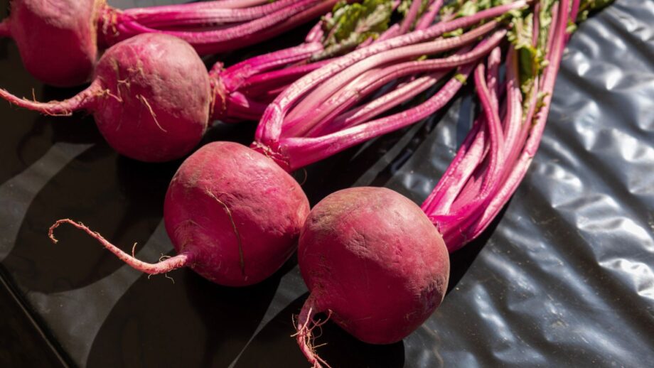 11 Turnip Varieties to Plant in Late Summer