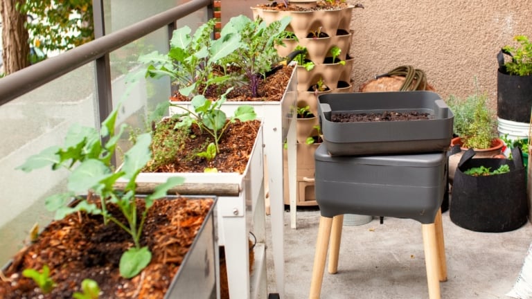 A Beginner's Guide to Vermicomposting