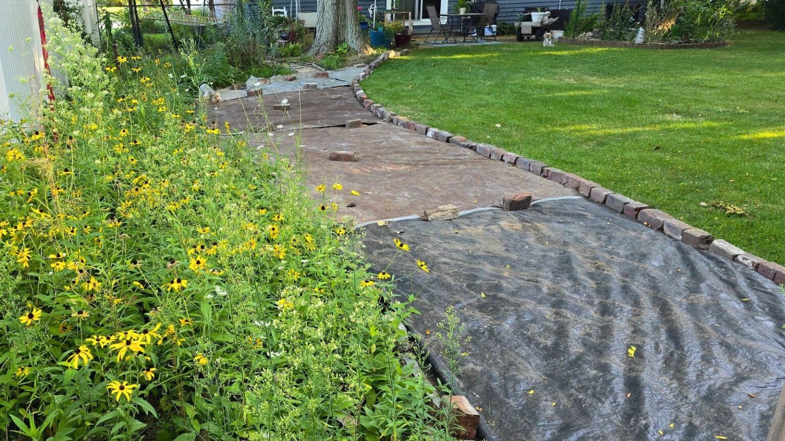 7 Environmentally-Friendly Ways to Get Rid of Invasive Plants