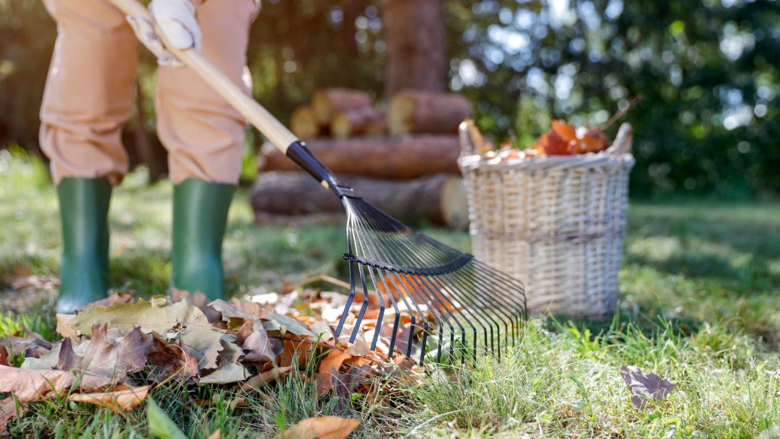 Preparing Your Garden for Autumn: Essential September Tasks