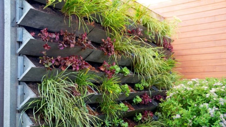 How To Create a Showstopping Plant Wall