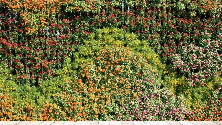How To Create a Showstopping Plant Wall
