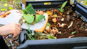 How to Build a DIY Compost Bin