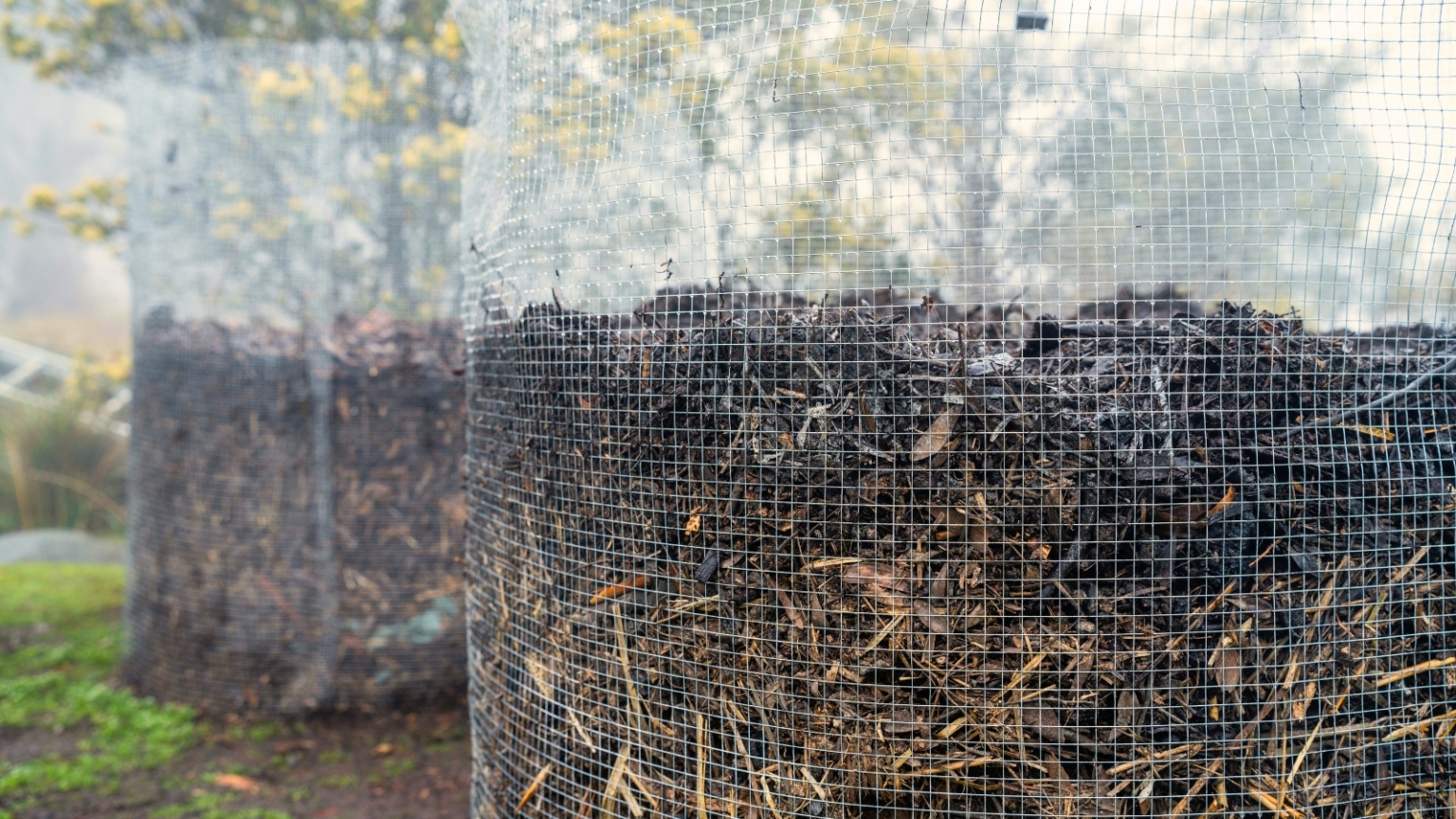 How To Prevent Pests in Your Compost Pile