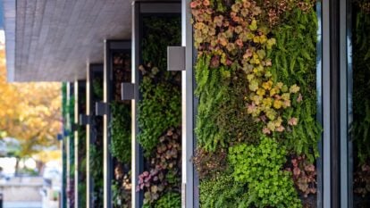 How To Create a Showstopping Plant Wall