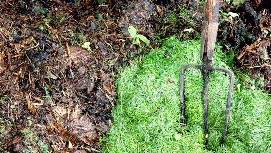 How To Prevent Pests in Your Compost Pile