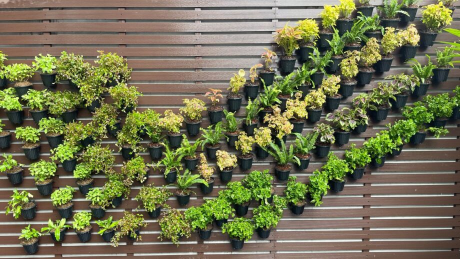 How To Create a Showstopping Plant Wall