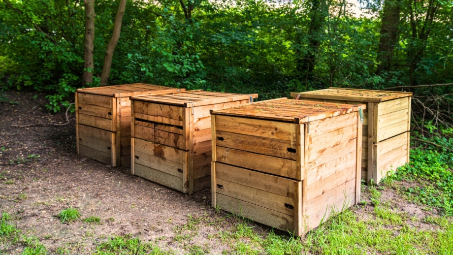 How To Prevent Pests in Your Compost Pile