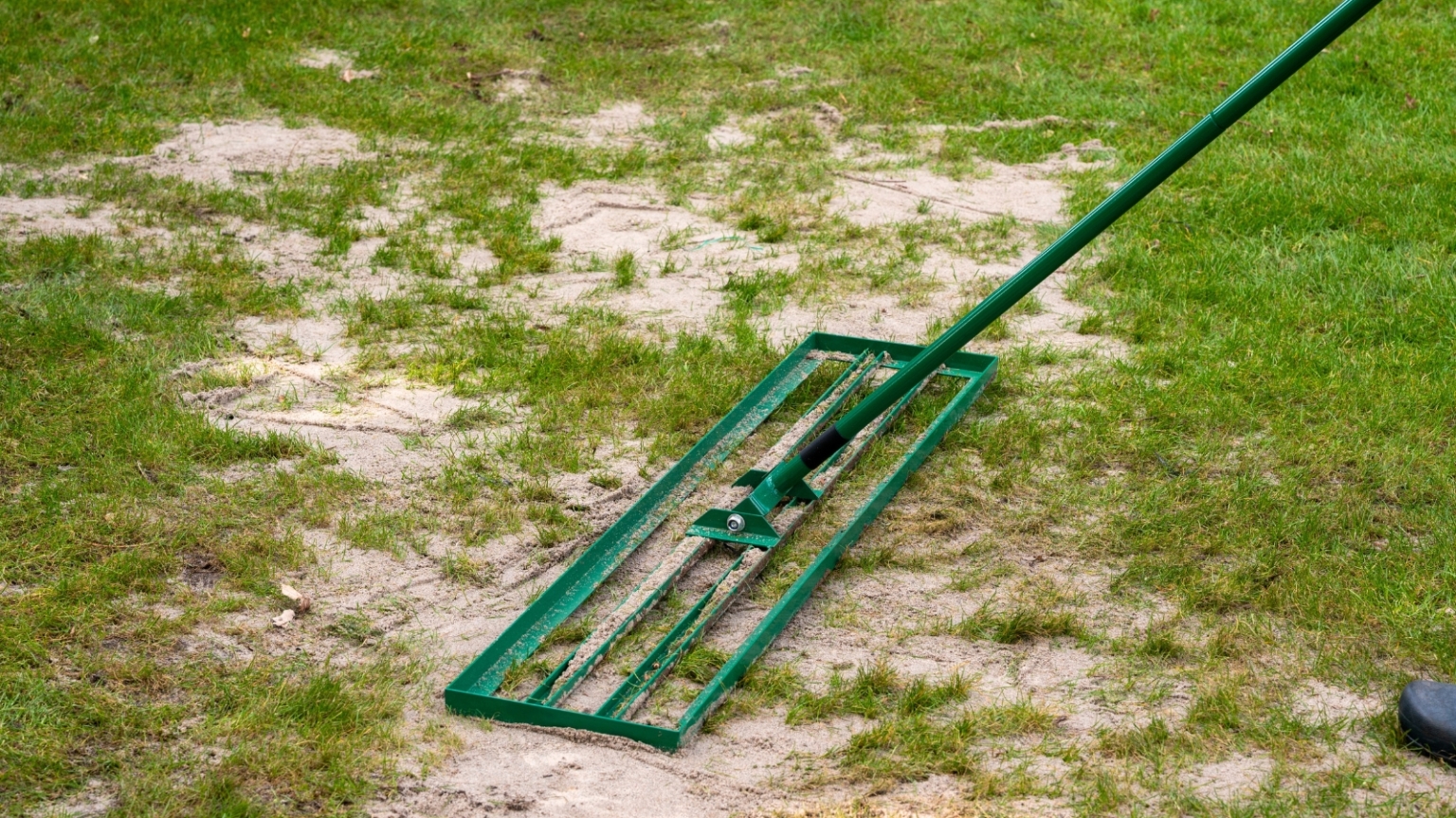 How To Plant Grass Seed in Your Lawn’s Bare Spots: 5 Easy Steps