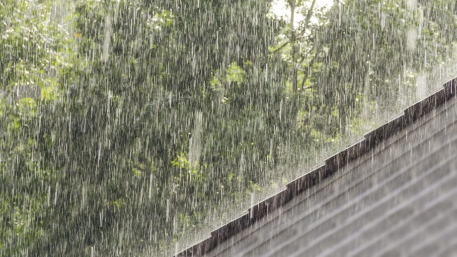 How to Start a Vertical Rain Garden