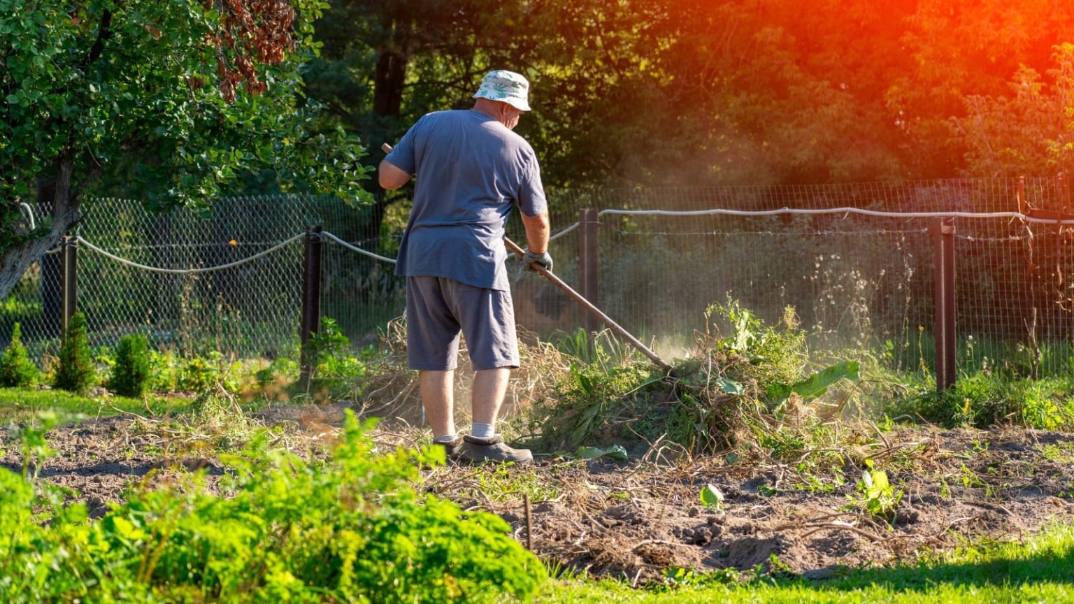 Reduce Next Season's Pest and Disease Issues with These Garden Cleanup ...