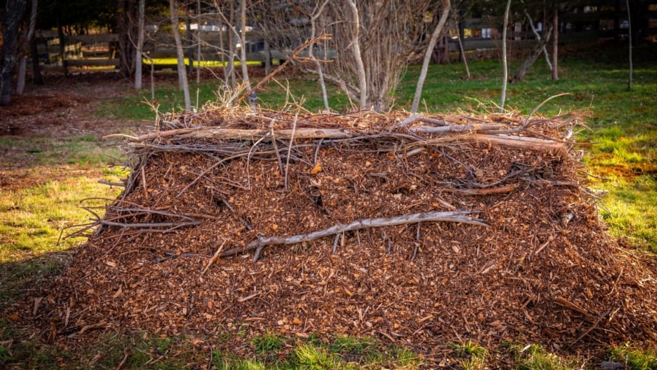 Hugelkultur Beds: How to Build Now for Spring Planting