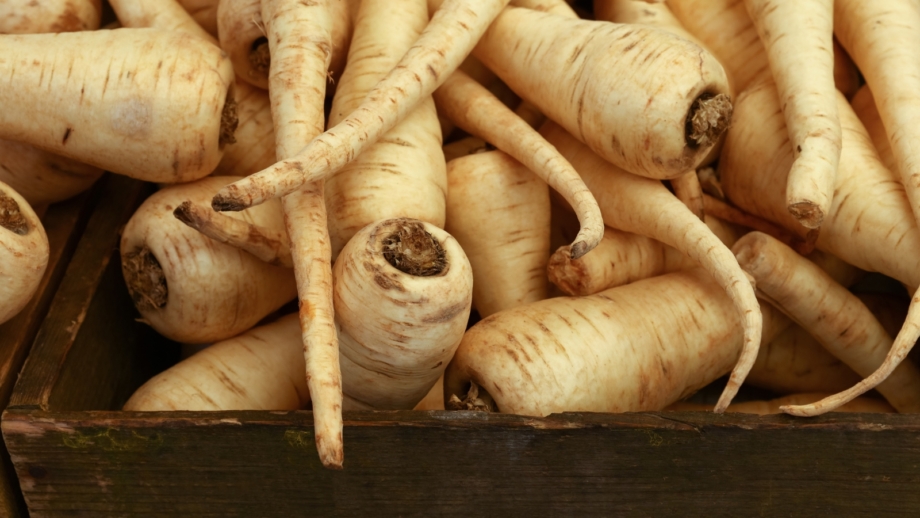 How and When to Harvest Parsnips