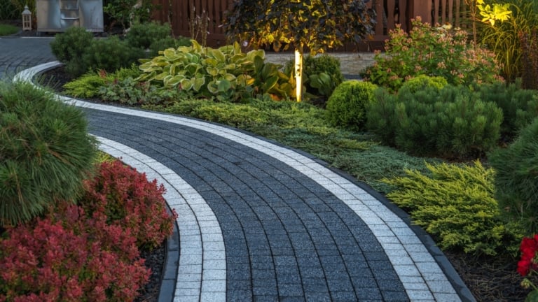 Accessible Garden Design: How to Build a Universal Garden