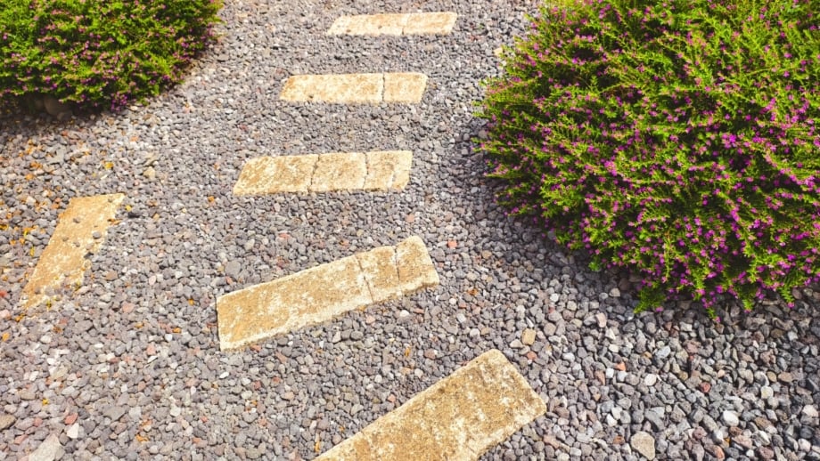 Weed-Free Garden Paths: How to Create and Maintain Them