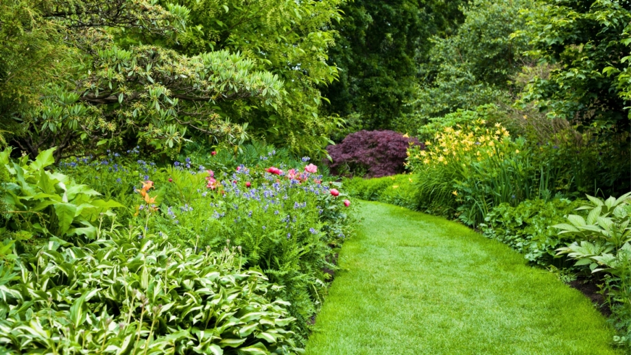 Weed-Free Garden Paths: How to Create and Maintain Them