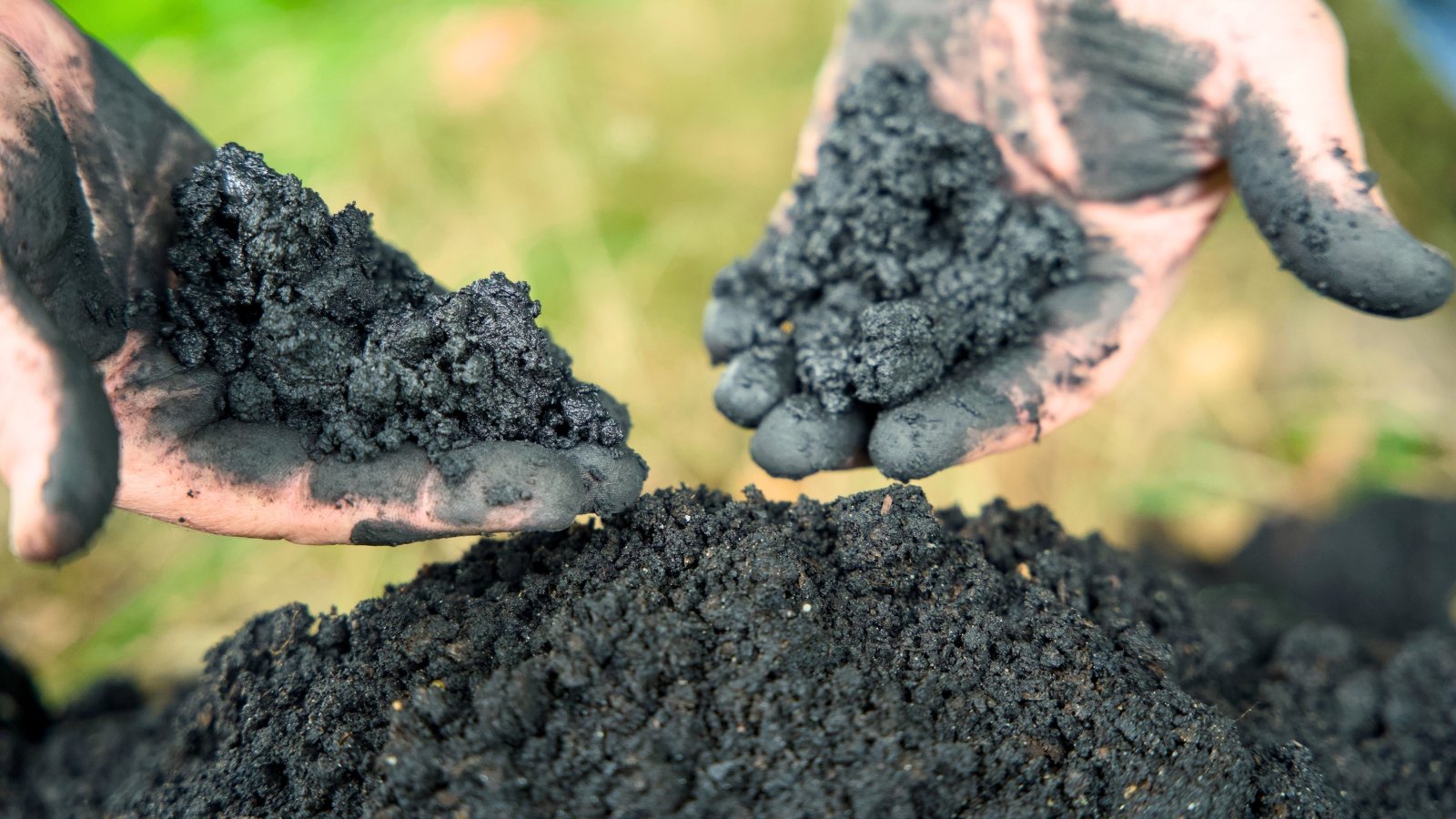 How to Use Biochar to Build Your Soil in Fall