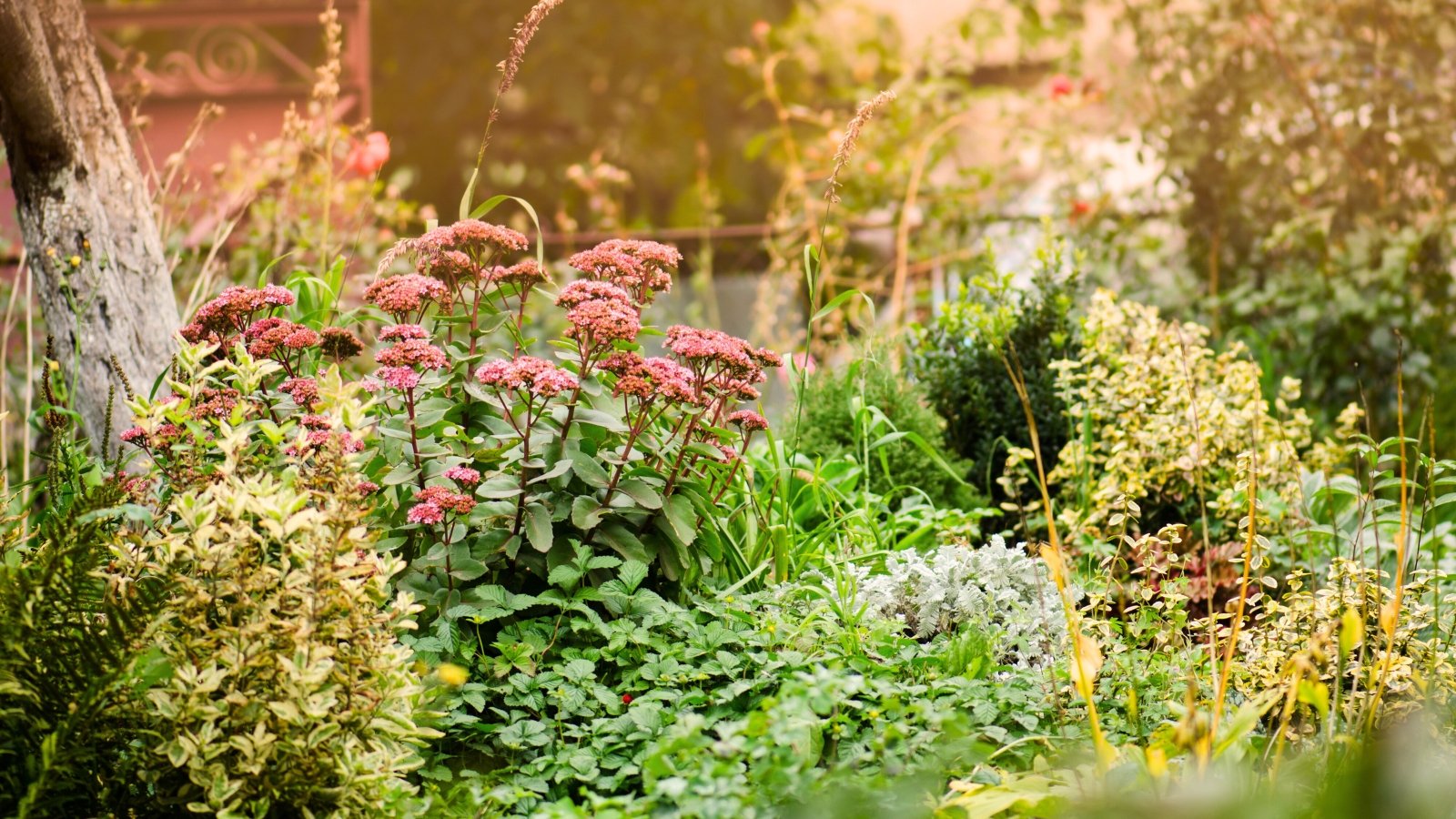 5 Water-Smart Landscaping Adjustments You Should Make for Fall